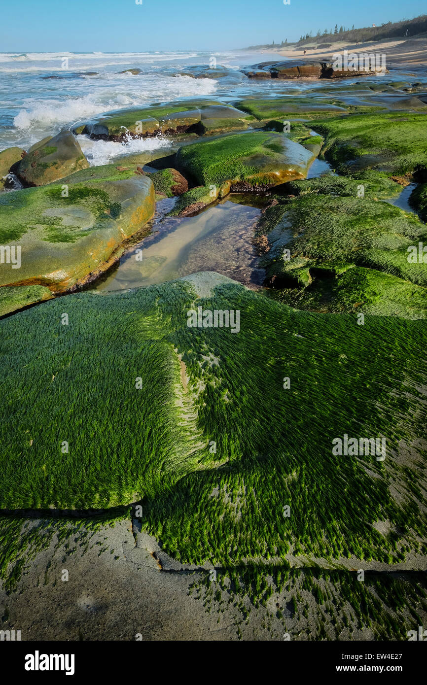 At Point Cartwright Stock Photo - Alamy