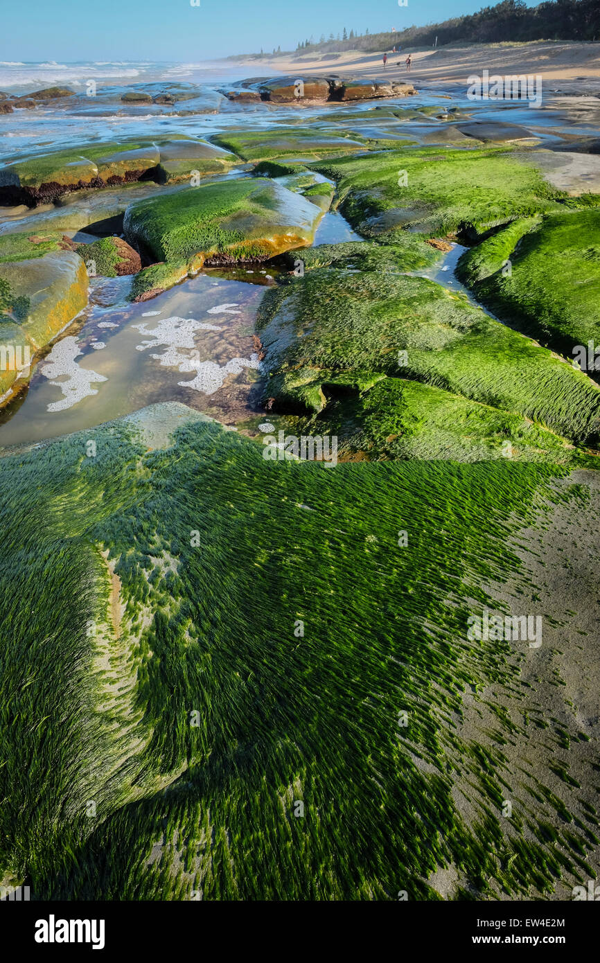 At Point Cartwright Stock Photo - Alamy