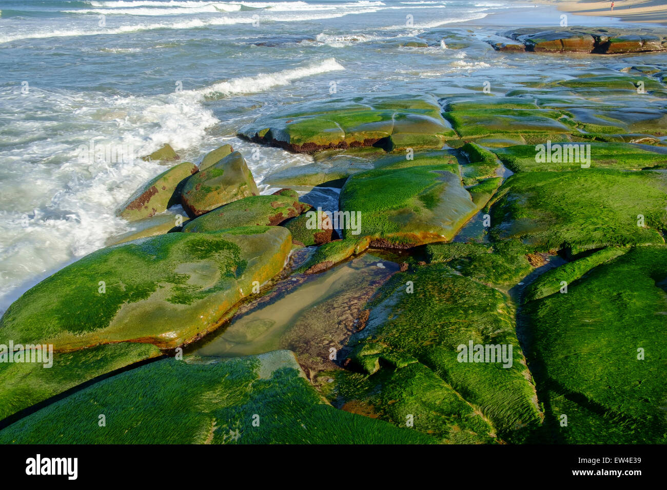 At Point Cartwright Stock Photo - Alamy