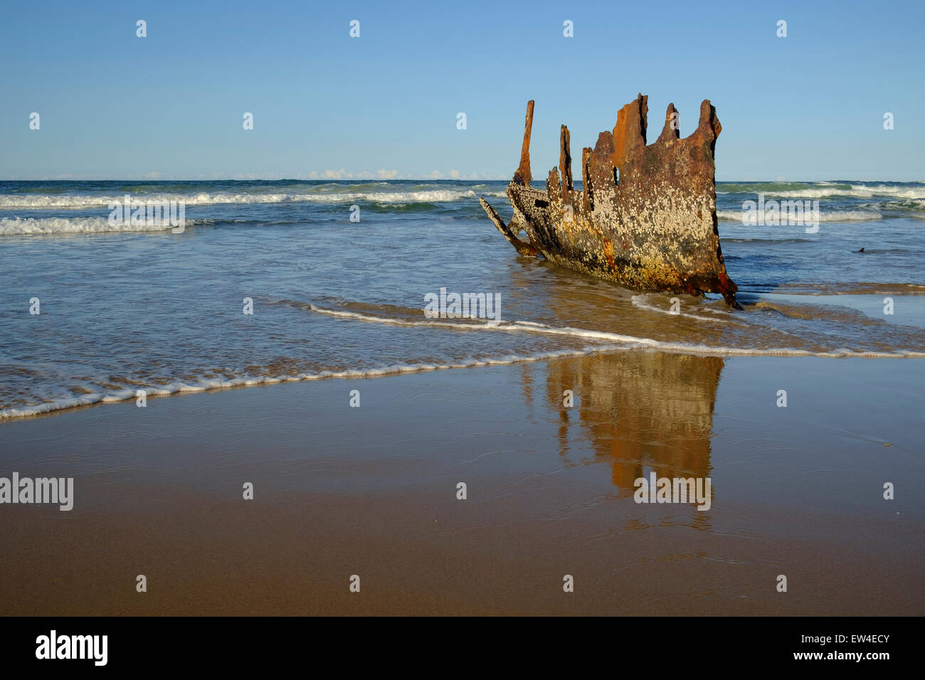 Dicky hi-res stock photography and images - Alamy