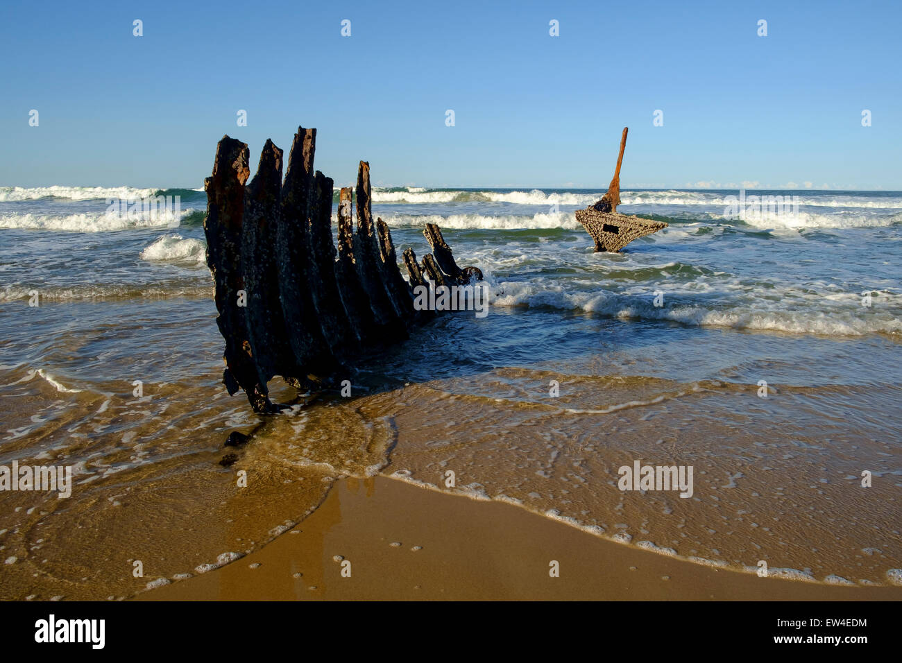 Dicky hi-res stock photography and images - Alamy