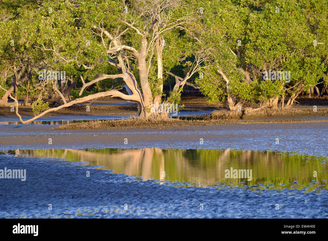 Nudgee Beach High Resolution Stock Photography and Images - Alamy