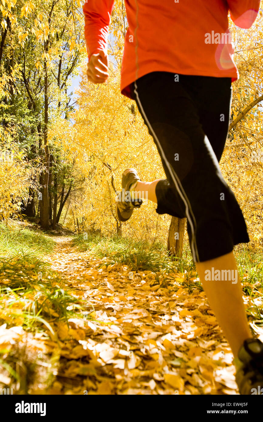 A women trail running on fallen leaves in autumn Stock Photo - Alamy