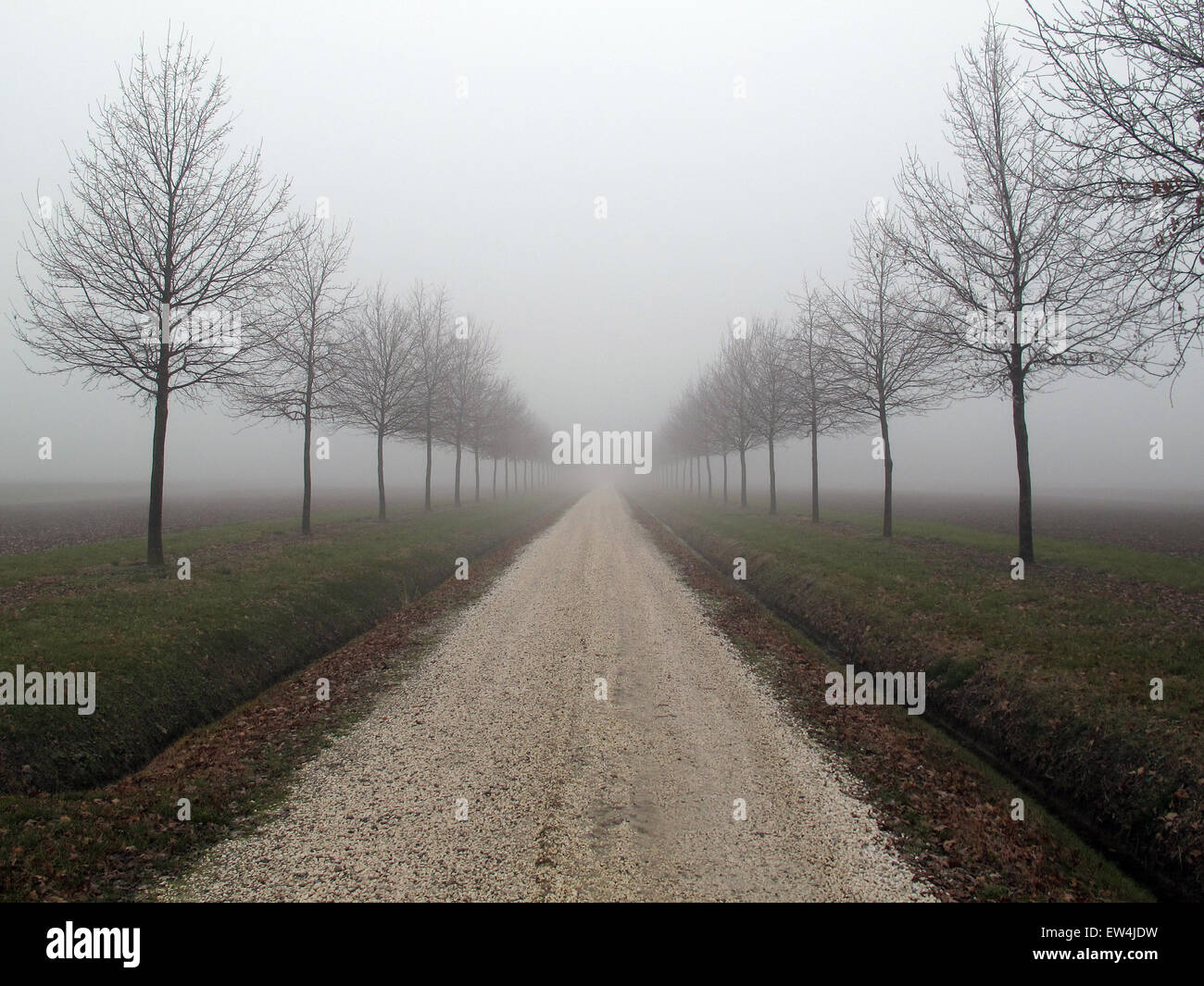 Film of fog hi-res stock photography and images - Alamy