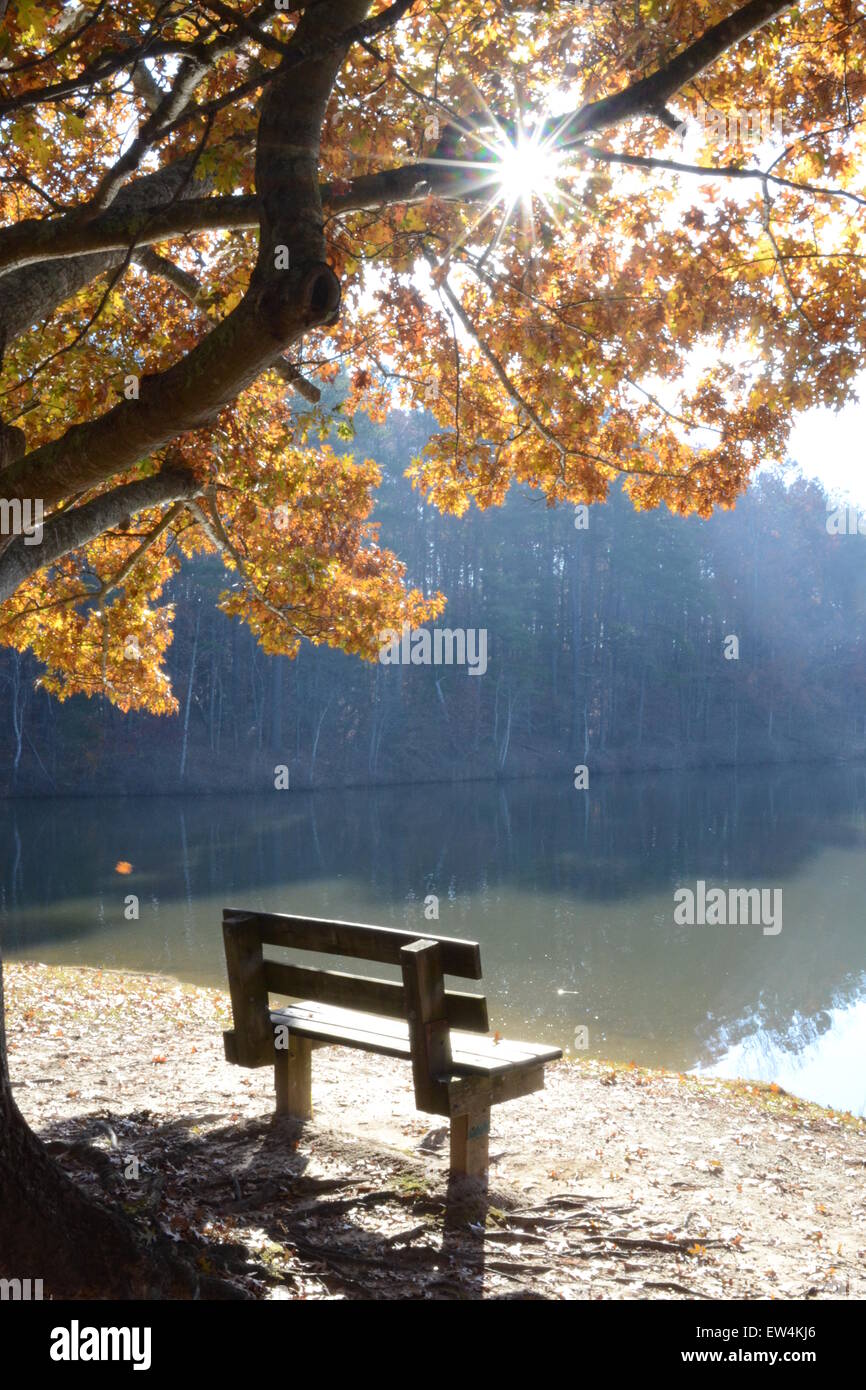 Sweetwater Creek State Park Stock Photo - Alamy