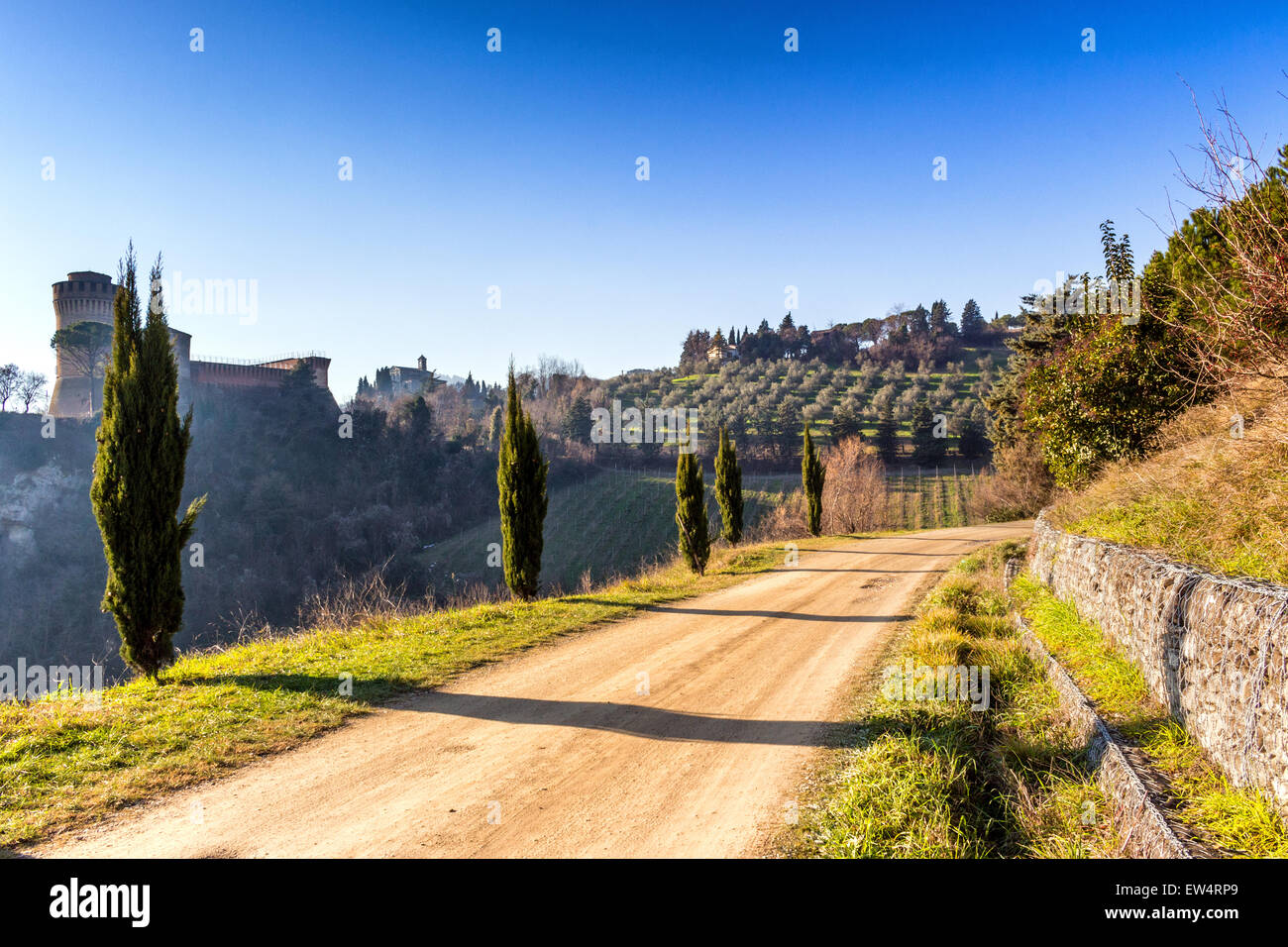 Walk of the cypress trees hi-res stock photography and images - Alamy