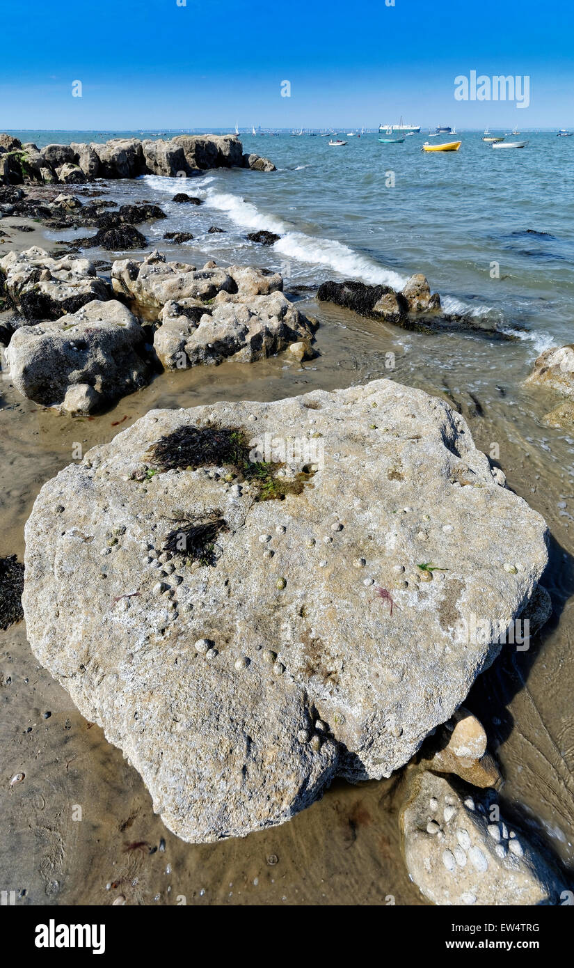 Eroded rocks having fallen from exposed cliffs fill with seaweed acting ...