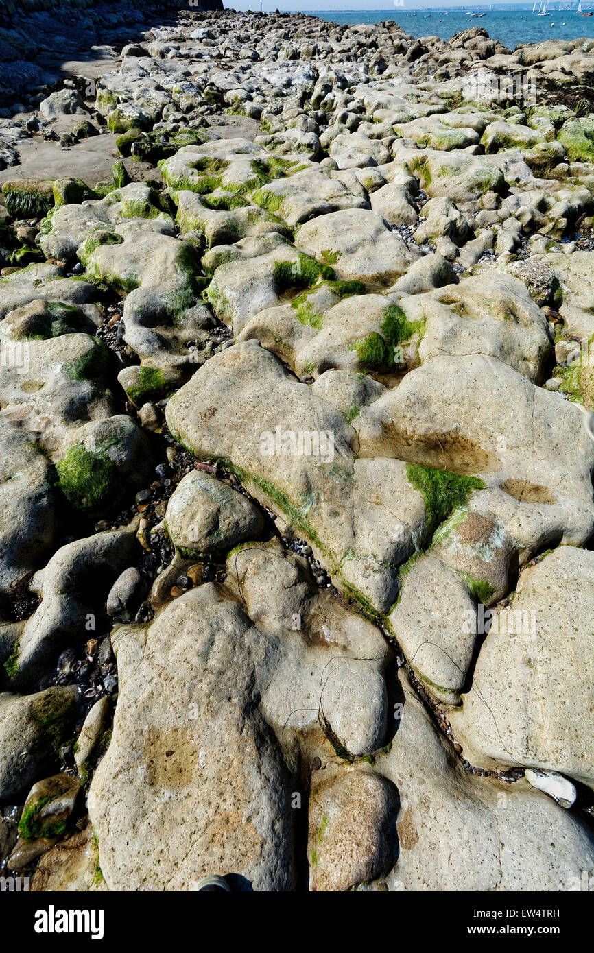 Eroded rocks having fallen from exposed cliffs fill with seaweed acting ...