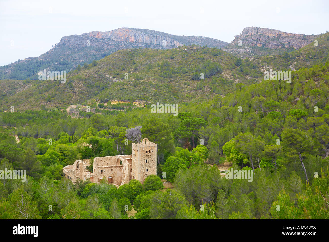 La murta hi-res stock photography and images - Alamy