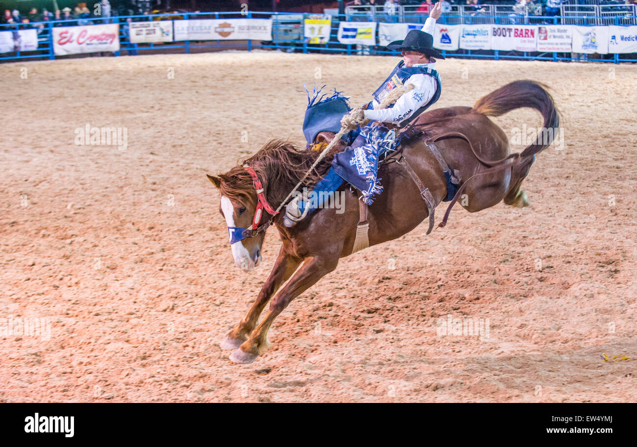 Cowboy Participating in a Bucking Horse Competition at the Helldorado ...