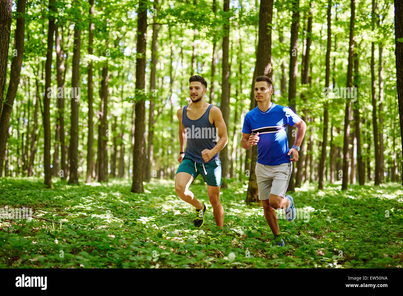 Two friends running through the forest on a jogging trail Stock Photo ...