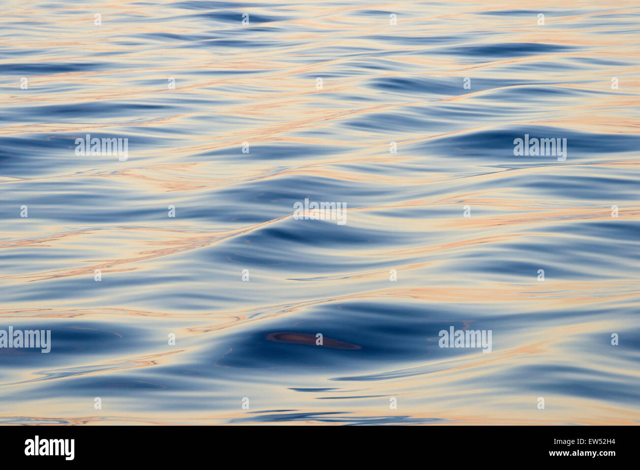 Waves in the evening light, sea, Denmark Strait, Greenland Stock Photo ...