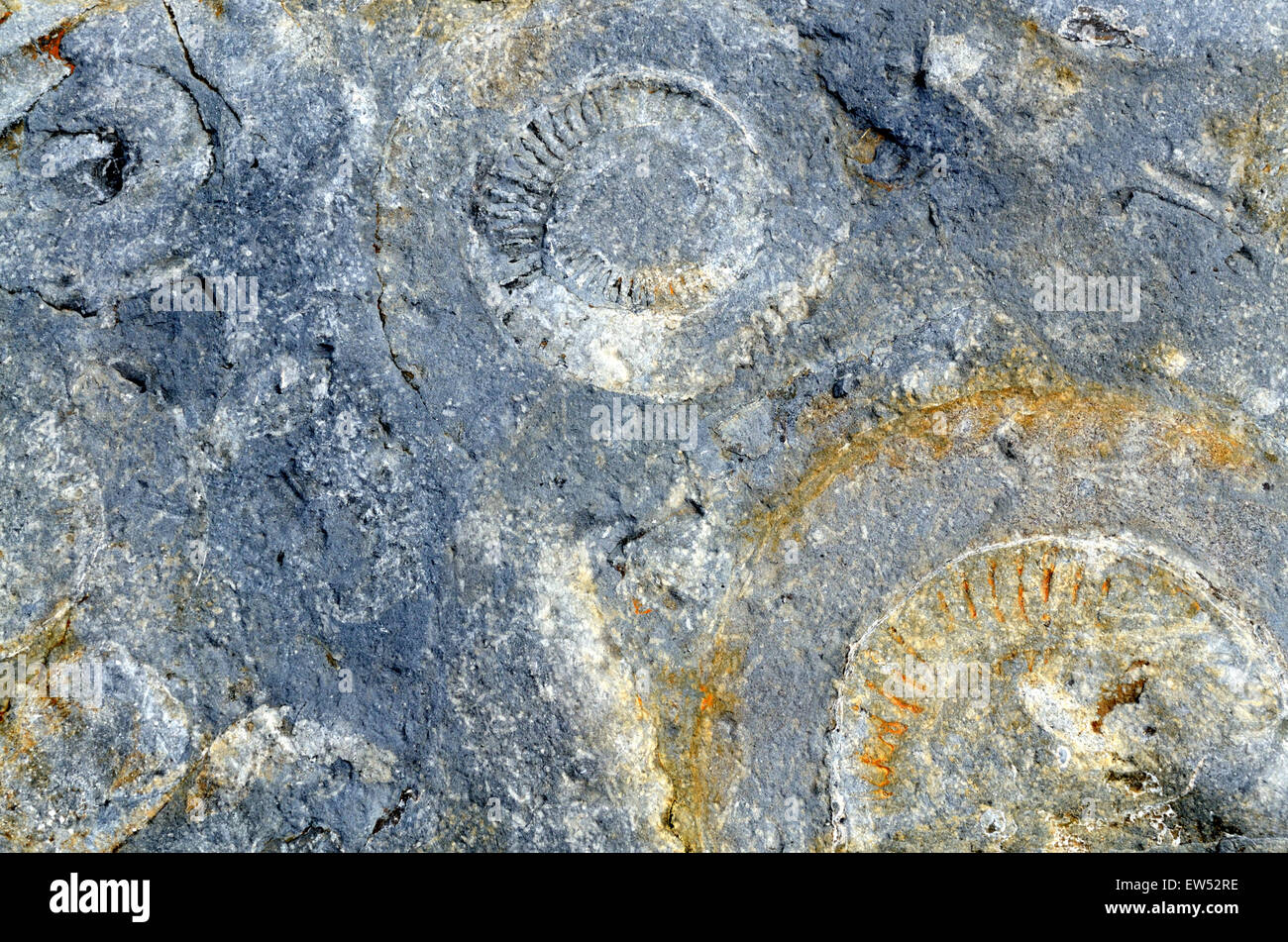 Triassic rocks hi-res stock photography and images - Alamy