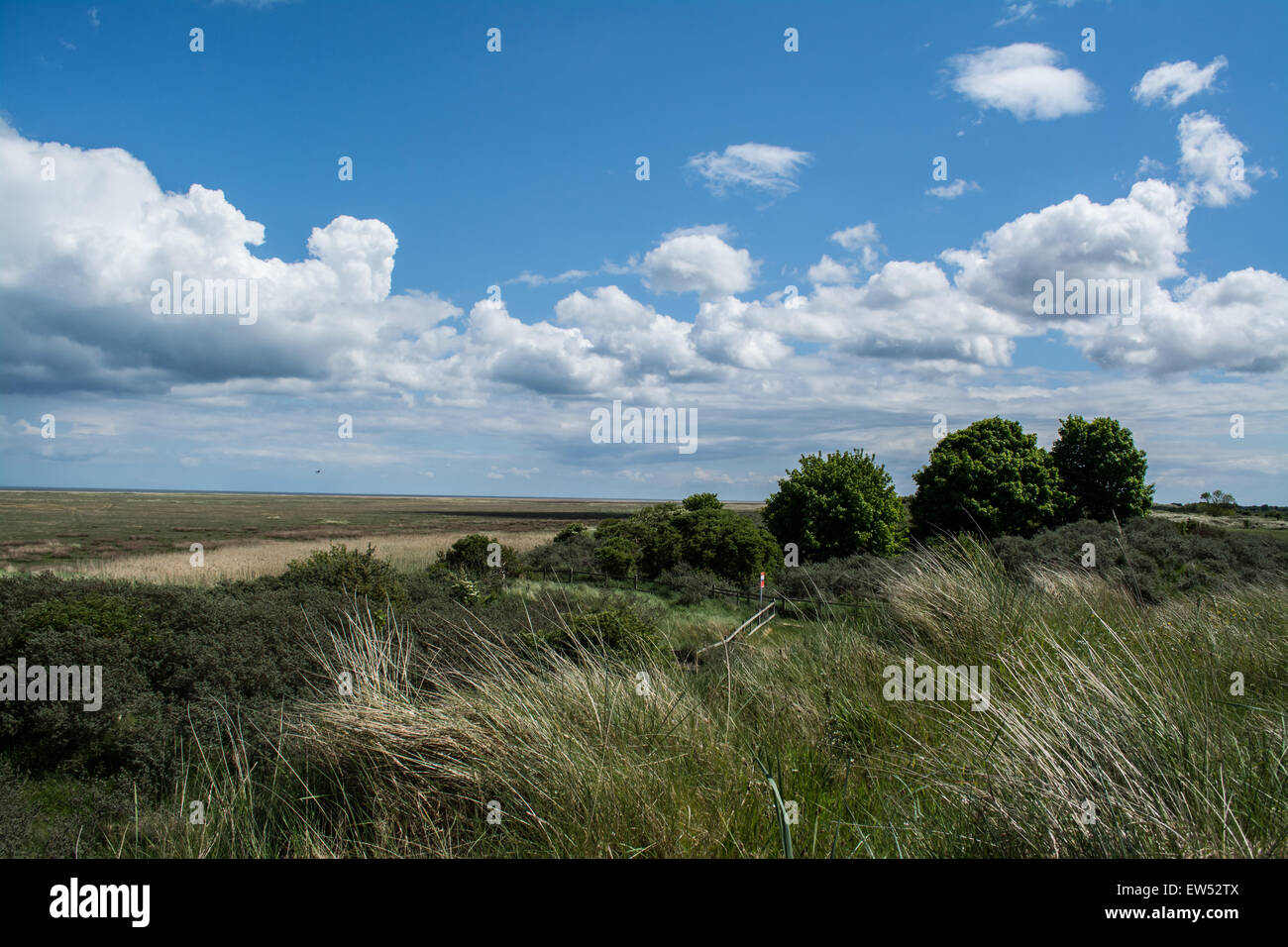 Dunes and marsh hi-res stock photography and images - Alamy