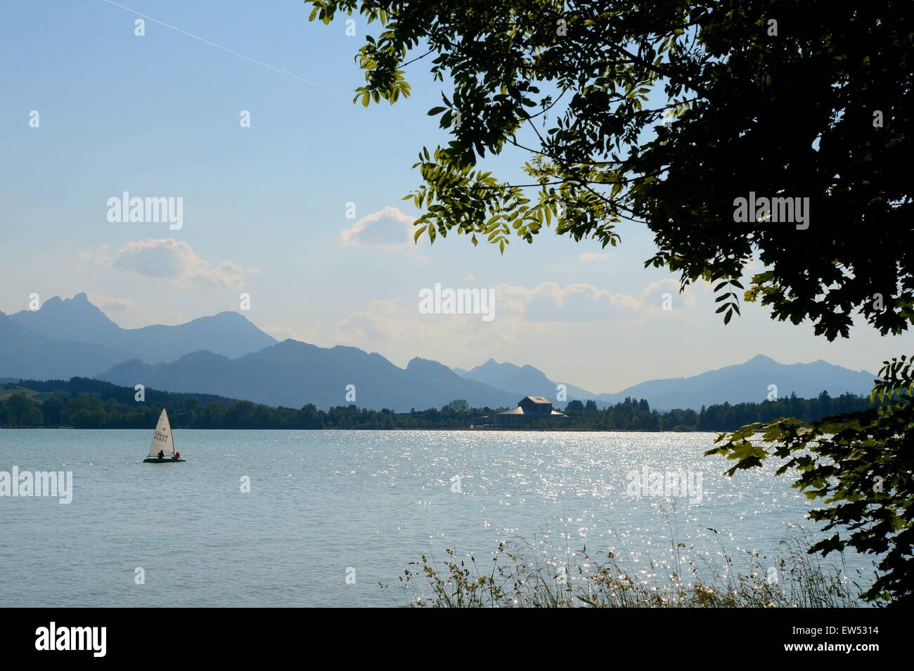 A sailing boat on Lake Forggensee in Bavaria, Germany, near the city of ...