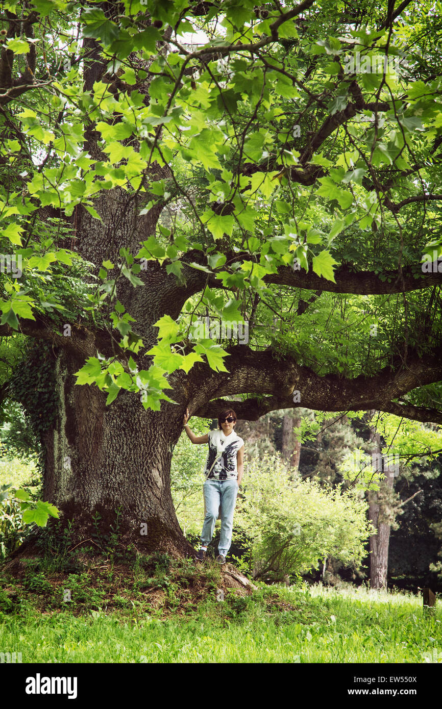 Young caucasian woman under the massive maple tree Stock Photo - Alamy