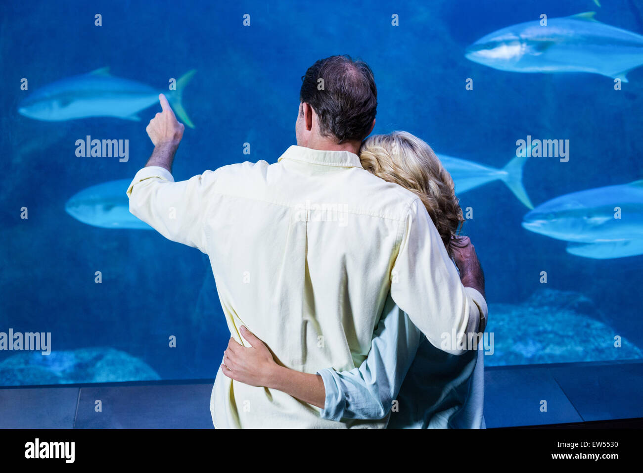 Rear view of couple watching the tank fish Stock Photo - Alamy