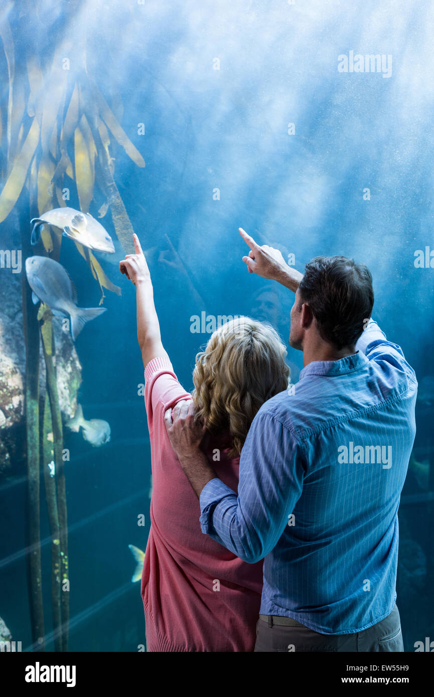 Hand in fish tank hi-res stock photography and images - Alamy