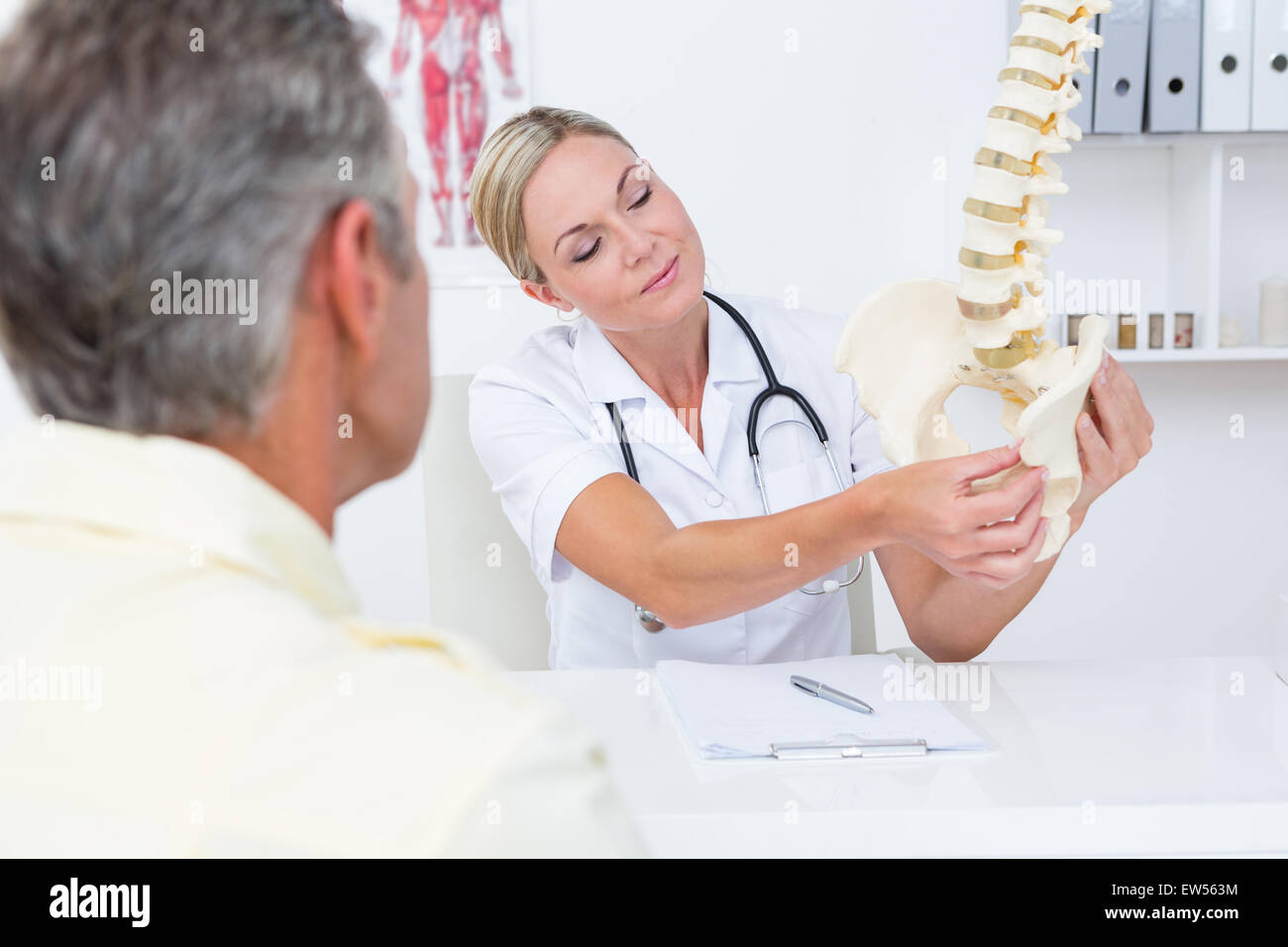 Doctor showing her patient a spine model Stock Photo - Alamy