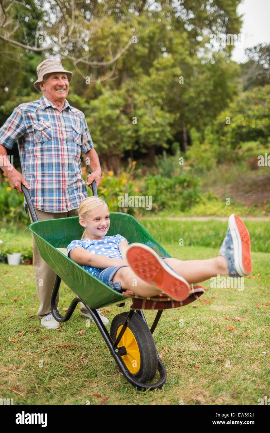 Happy grandfather and his granddaughter with a wheelbarrow Stock Photo ...