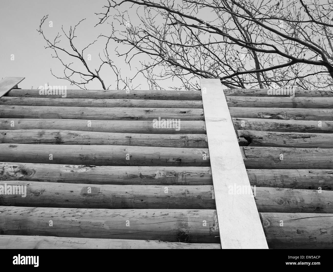 Wood Log Wall Stock Photo - Alamy