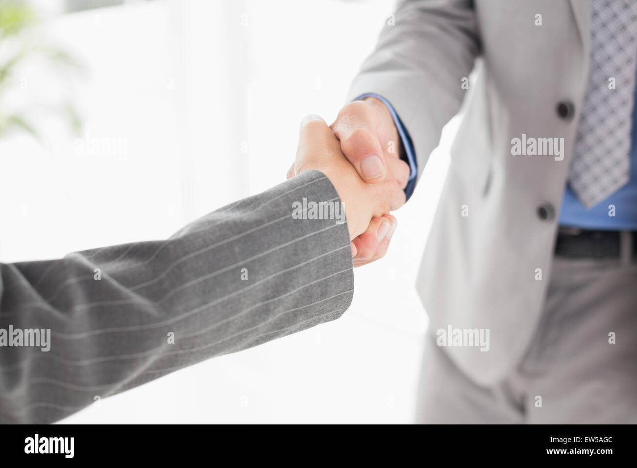 Business partners shaking hand together Stock Photo - Alamy