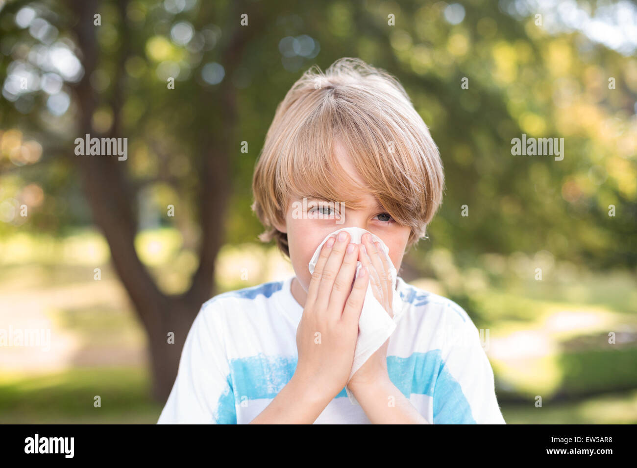 Little boy blowing his nose Stock Photo - Alamy