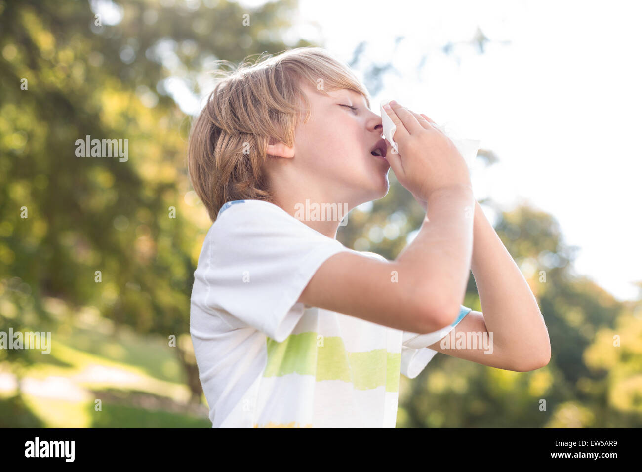 Little boy blowing his nose Stock Photo - Alamy