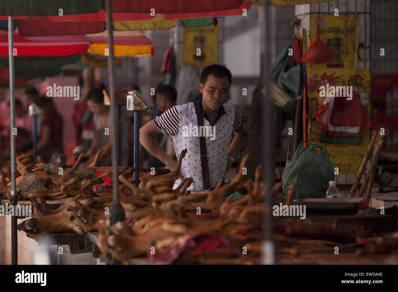 Slaughtered dog hi-res stock photography and images - Alamy