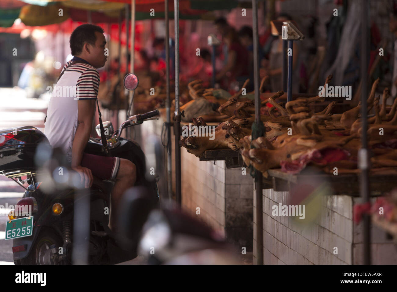 China dog eating festival hi-res stock photography and images - Alamy