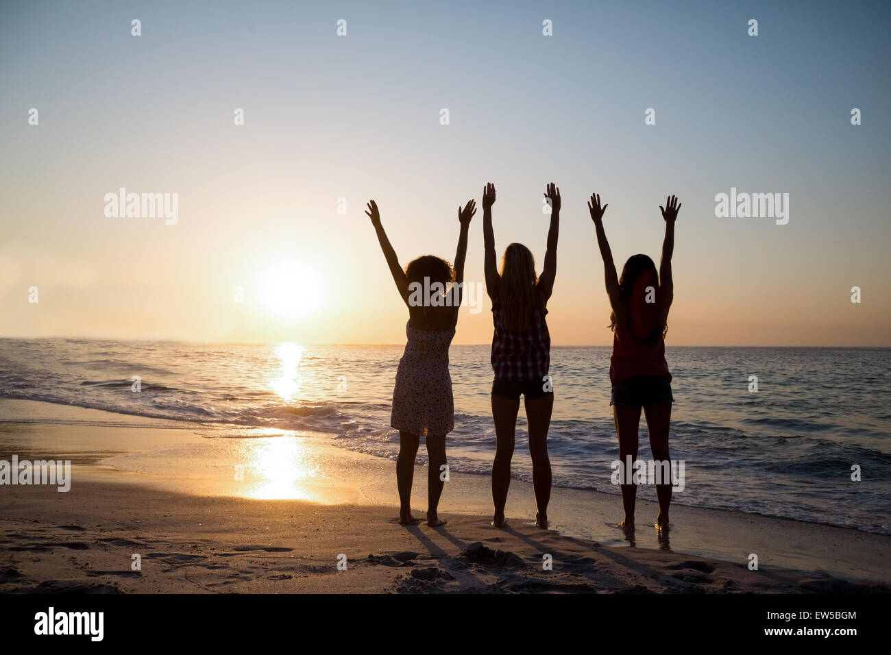 group of friends having fun Stock Photo - Alamy