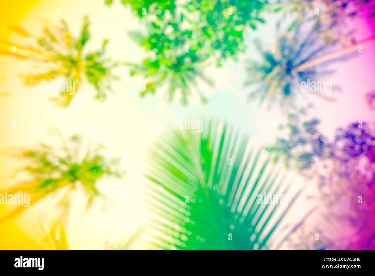 Rastafarian jamaica hi-res stock photography and images - Alamy