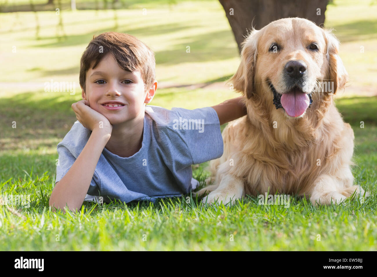 Dog looking for love hi-res stock photography and images - Alamy