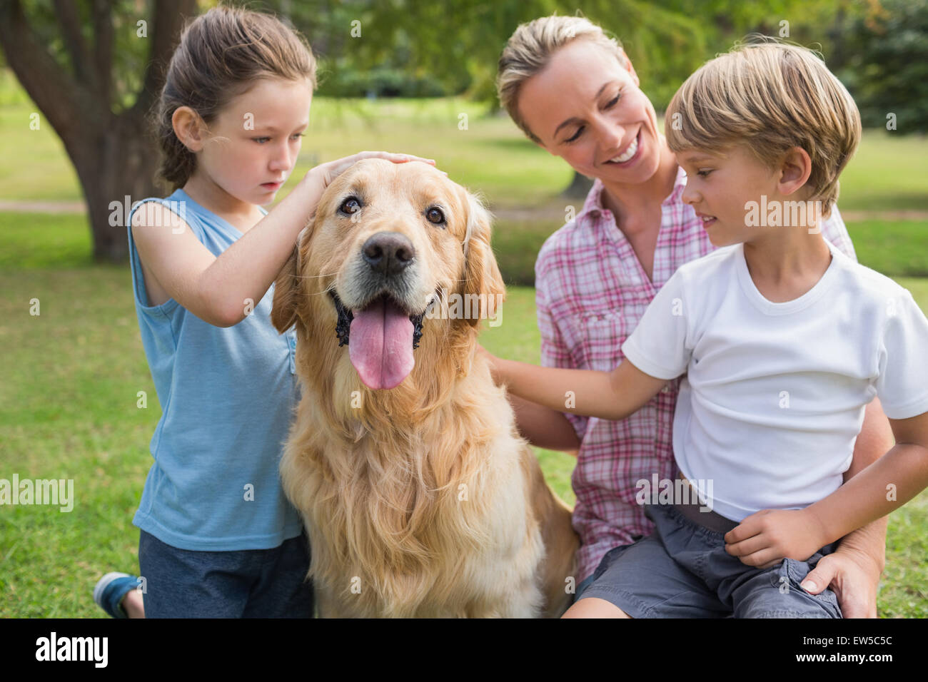 Happy family playing with their dog Stock Photo - Alamy