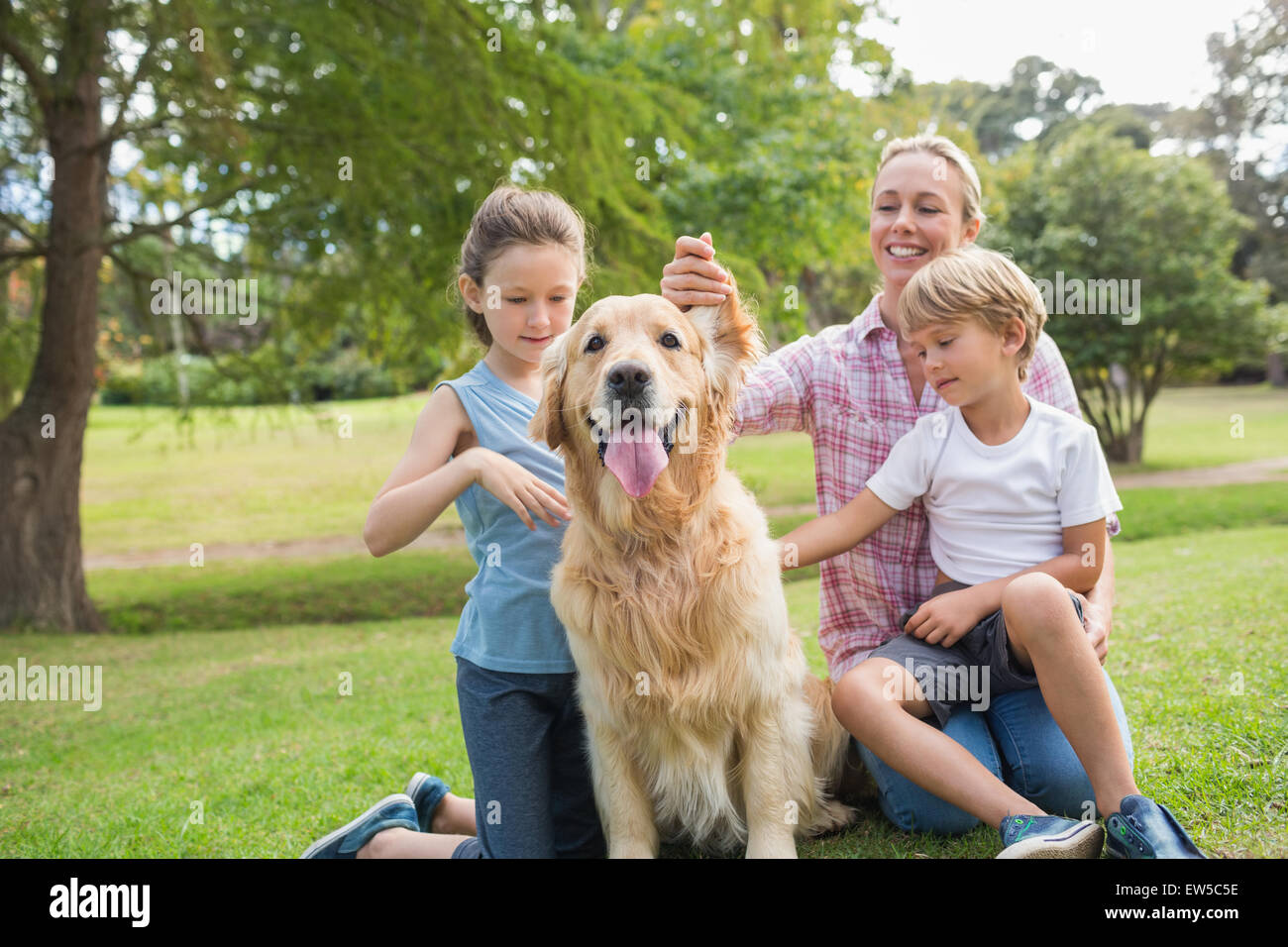 Happy family playing with their dog Stock Photo - Alamy