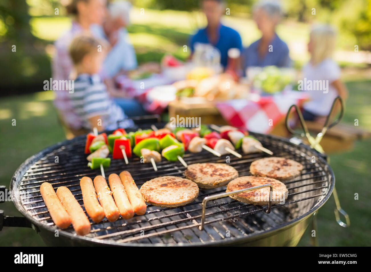 Family doing barbecue in the park Stock Photo - Alamy