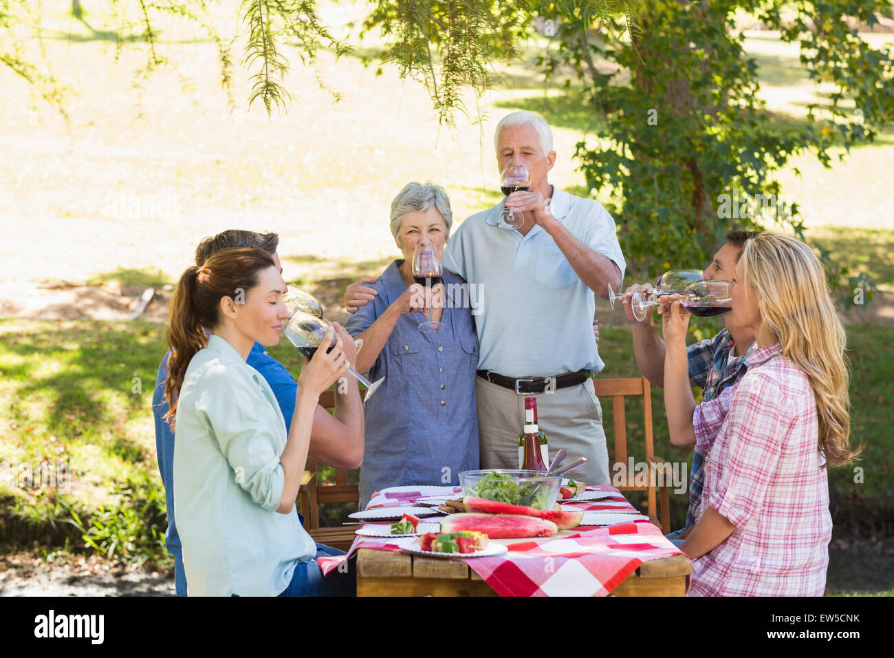 Happy seniors toasting with their family Stock Photo - Alamy