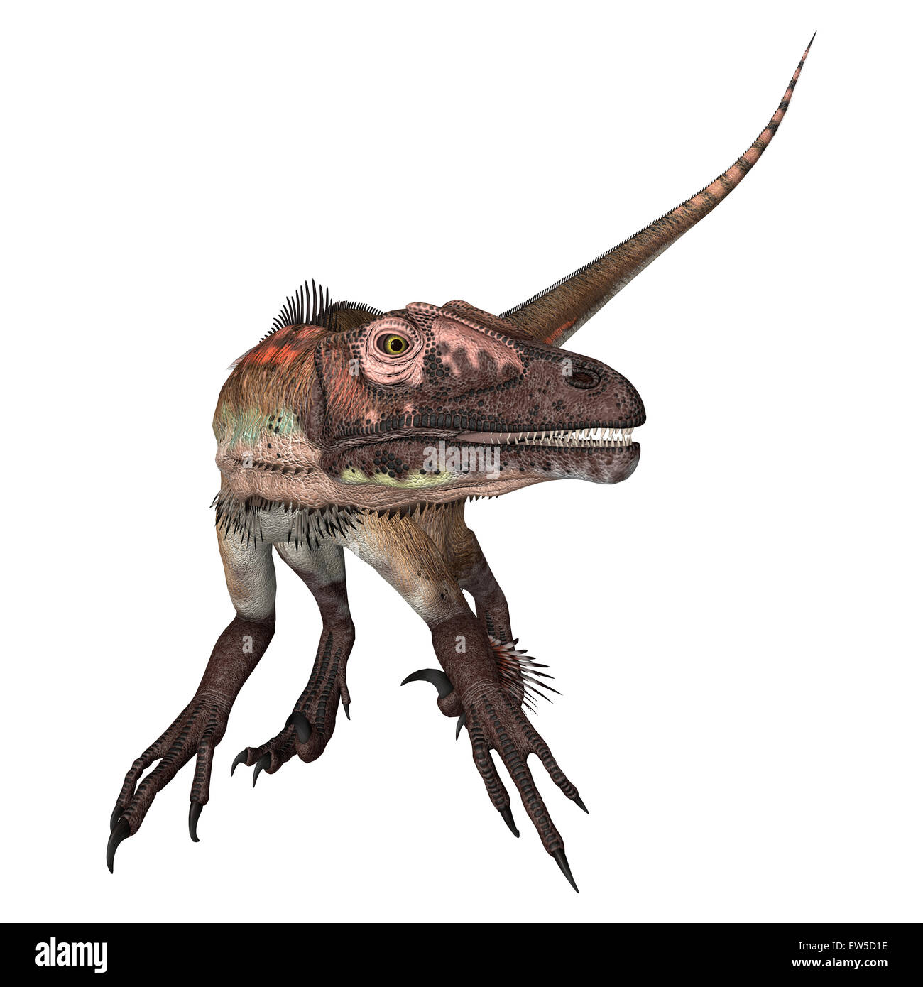 3D digital render of a dinosaur utahraptor isolated on white background ...