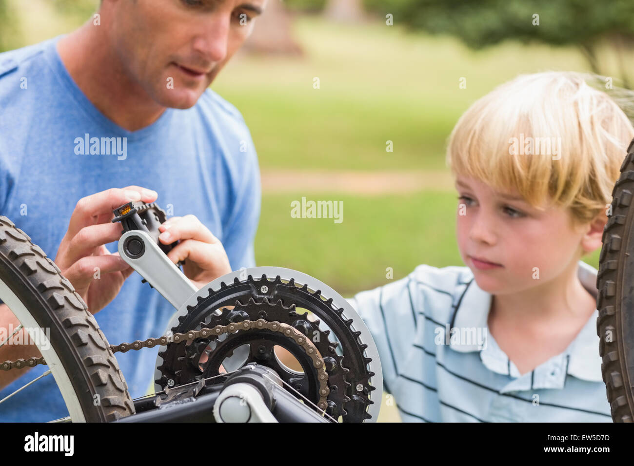 Father and his son fixing a bike Stock Photo - Alamy