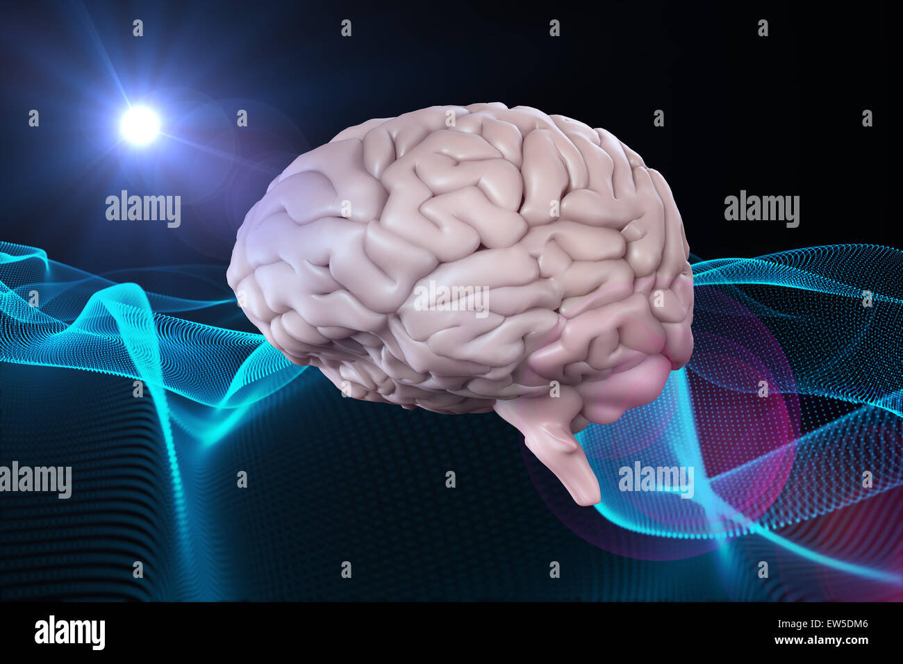 Abstract brain lines hi-res stock photography and images - Alamy