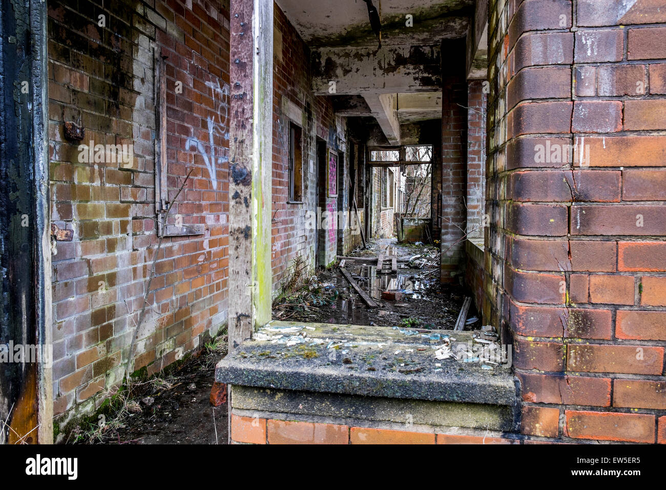 Derelict and disused office block with graffiti on all of the walls ...