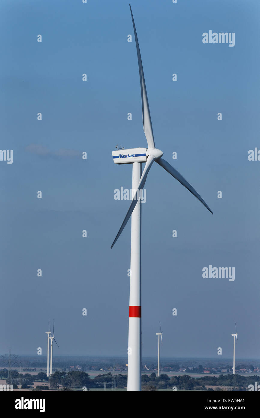 Klein mutz hi-res stock photography and images - Alamy