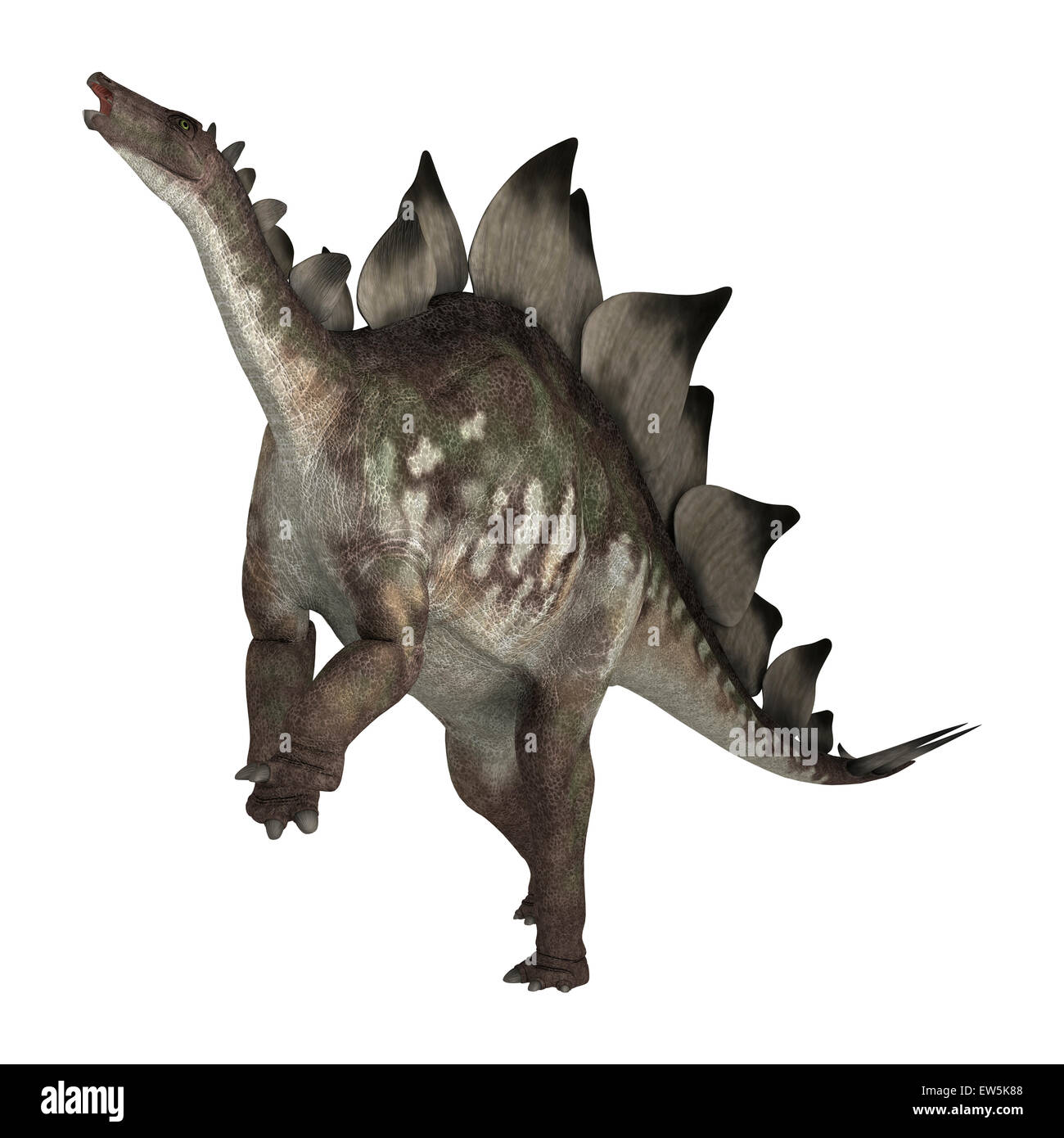 3d digital render dinosaur stegosaurus hi-res stock photography and ...