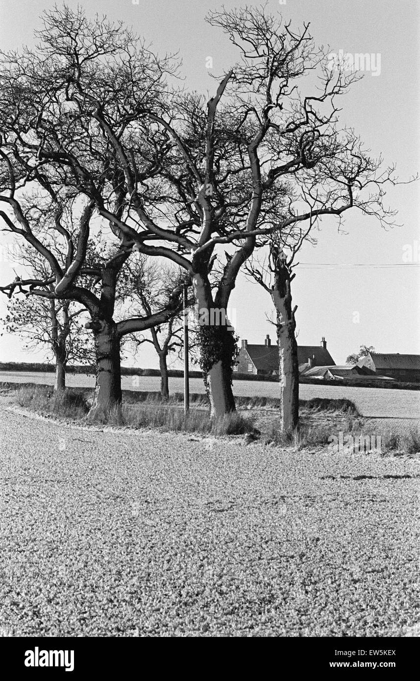 Countryside Scenes, Cleveland, North Yorkshire, 1st February 1980 Stock ...