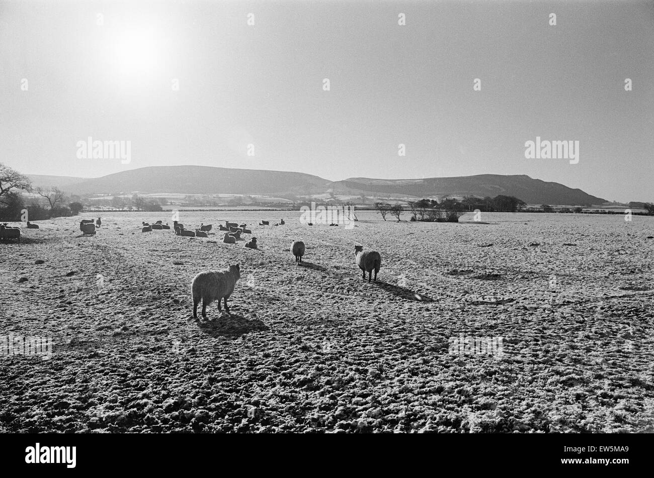 Cleveland weather Black and White Stock Photos & Images - Alamy