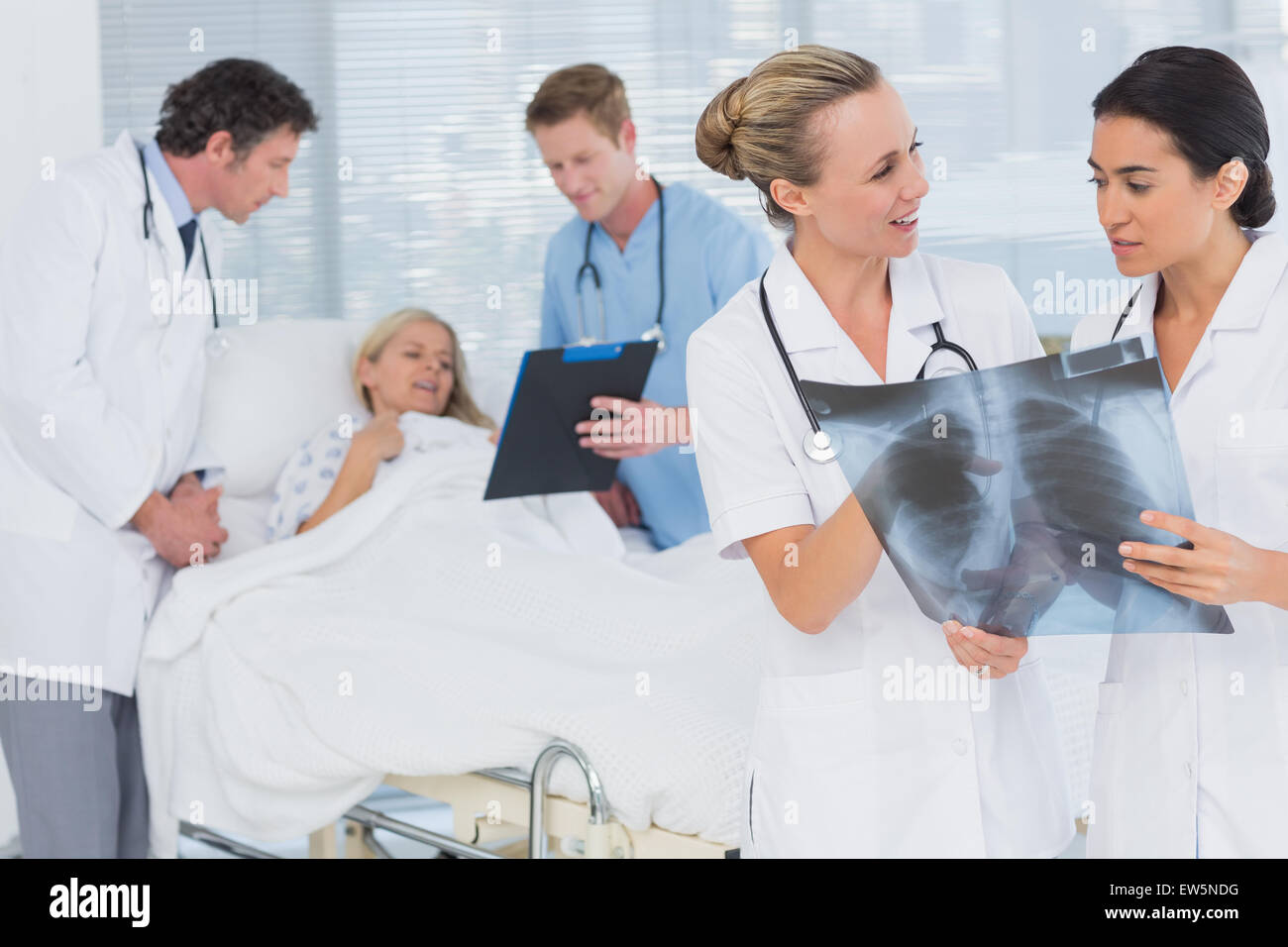 File examination hi-res stock photography and images - Alamy