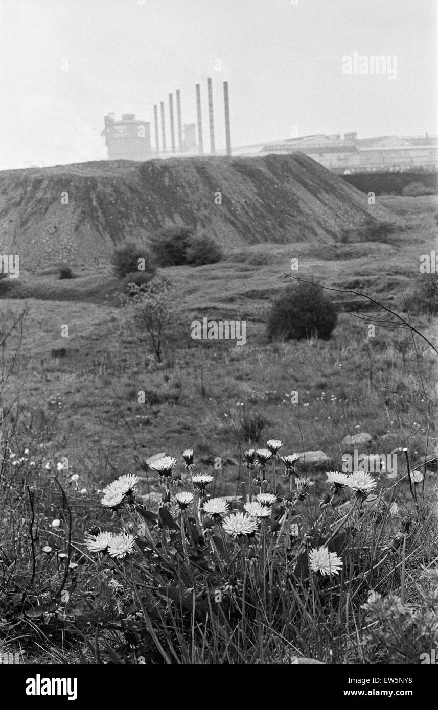 The Black Country, West Midlands, England. 25th May 1968 Stock Photo ...
