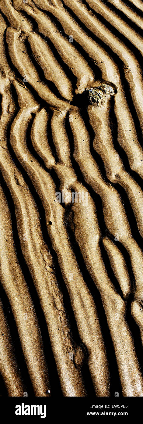 Wet sand groove formations at the shore line. Panoramic 35 Degrees in ...