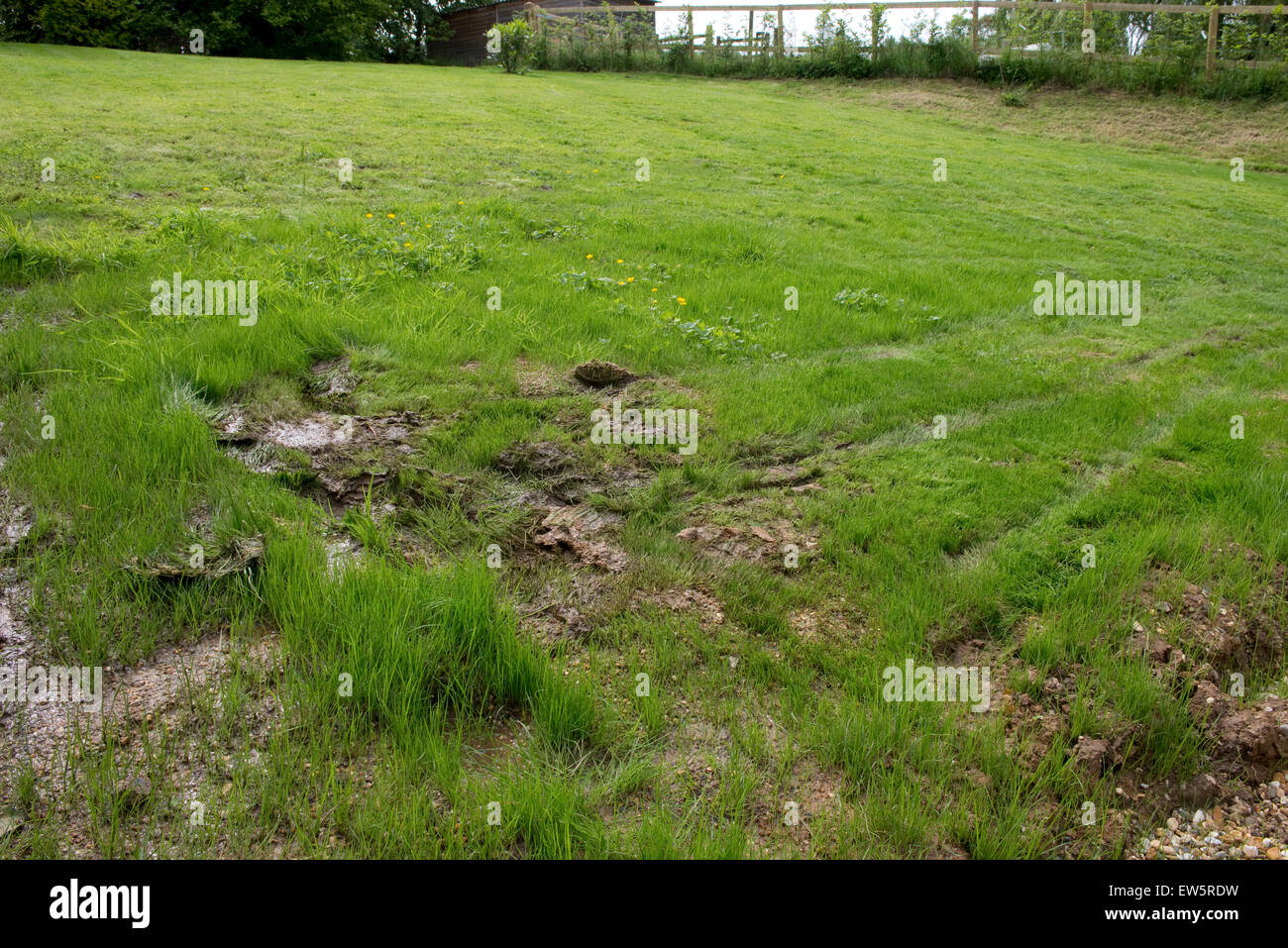 Outcrop of spring water on a grass lawn with clay subsoil after a very ...