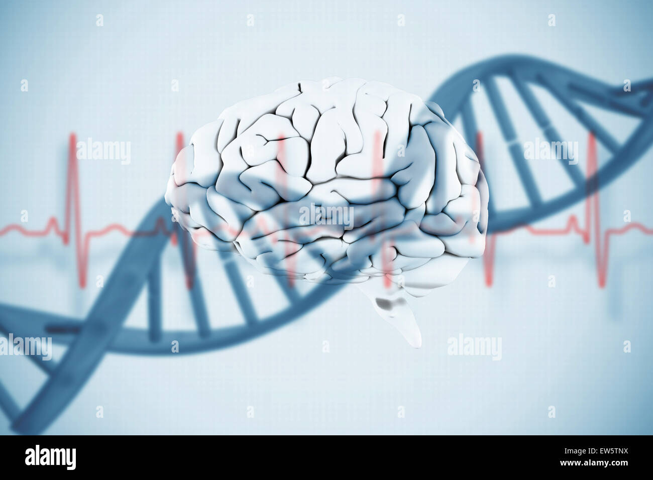 Genes dna brain hi-res stock photography and images - Alamy